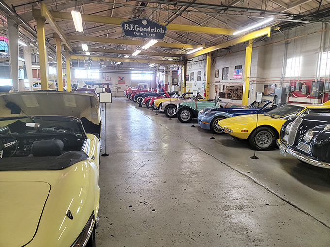 Automotive dreams lined up like magnificent mechanical sculptures. Each polished fender tells a story of design, innovation, and American ingenuity.