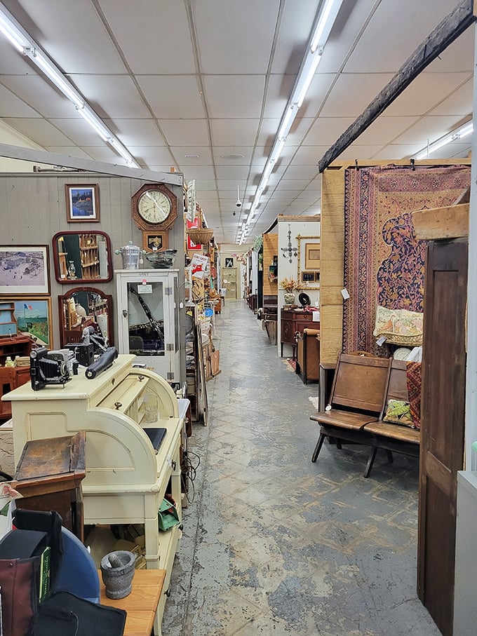 Down the rabbit hole you go! These endless aisles of carefully arranged treasures make three hours disappear faster than cake at a birthday party.