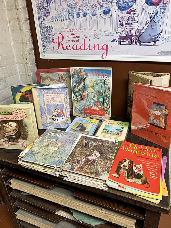 Vintage children's books that transport adults back to childhood faster than a DeLorean hitting 88 mph. Nostalgia in bound form!