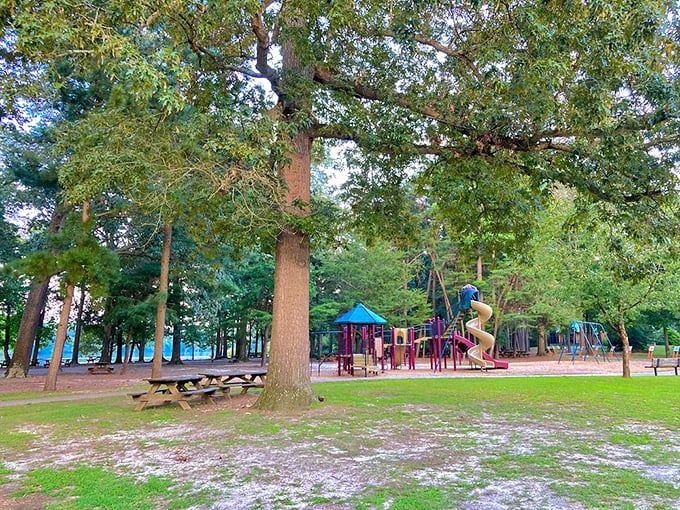 Where kids burn energy while parents secretly wish they could take a turn on that slide. Childhood joy nestled among ancient trees.