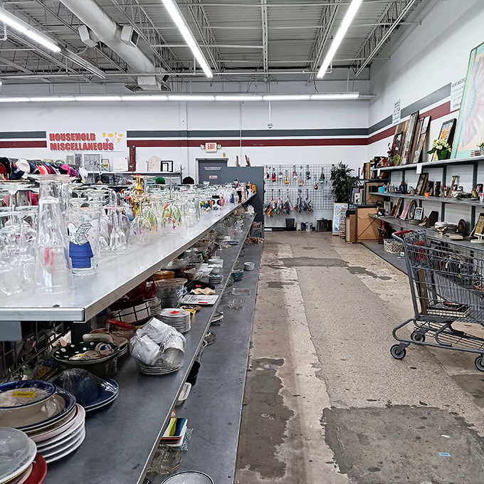 Plates, bowls, and kitchen gadgets galore! Grandma's china cabinet has nothing on this tableware wonderland.