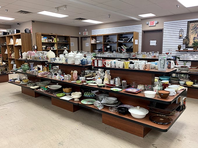 Dish paradise! More ceramic options than your kitchen cabinets could ever hold, arranged with the precision of a tableware museum.