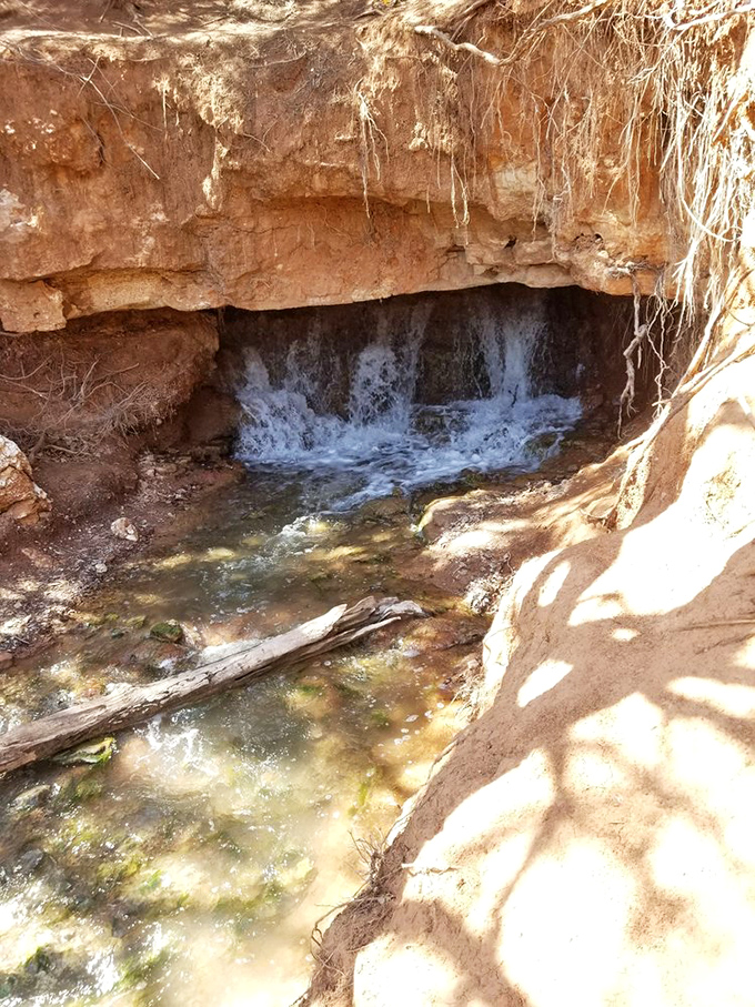 Nature's secret passageway reveals itself as water carves through ancient red rock, creating a miniature grotto that feels like Oklahoma's answer to Narnia.