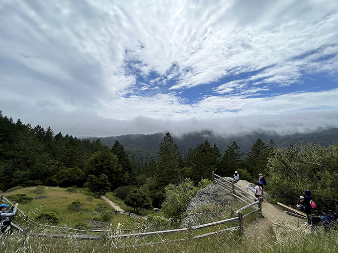 Where heaven meets earth: that magical moment when clouds embrace the mountainside, creating a dreamy landscape that feels like you're floating above reality.