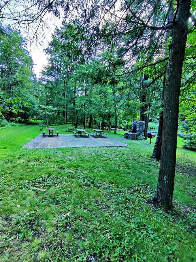 Picnic tables positioned by master landscape architects (squirrels and deer) for the perfect balance of sun and shade.