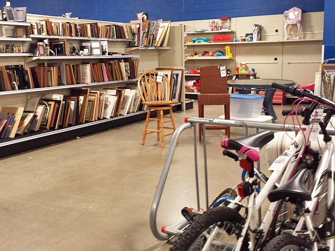 The book corner promises literary adventures for pennies on the dollar, where bestsellers mingle with forgotten classics waiting for rediscovery.