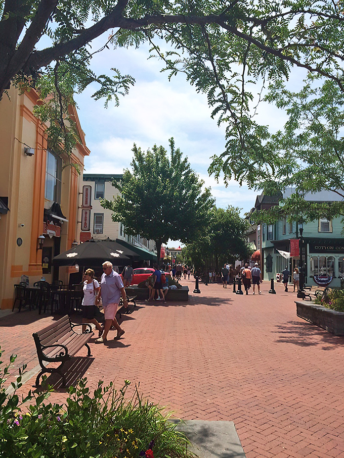 The pedestrian mall: where time slows down, credit cards speed up, and brick pathways have witnessed more leisurely strolls than a retirement community in Florida.