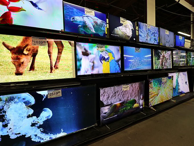 Television screens displaying nature's greatest hits at prices that won't cause your credit card to go extinct.