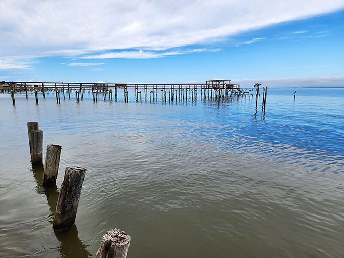 Fairhope's pier stretches into Mobile Bay like an invitation, promising spectacular sunsets and the occasional miracle of jubilee fishing.
