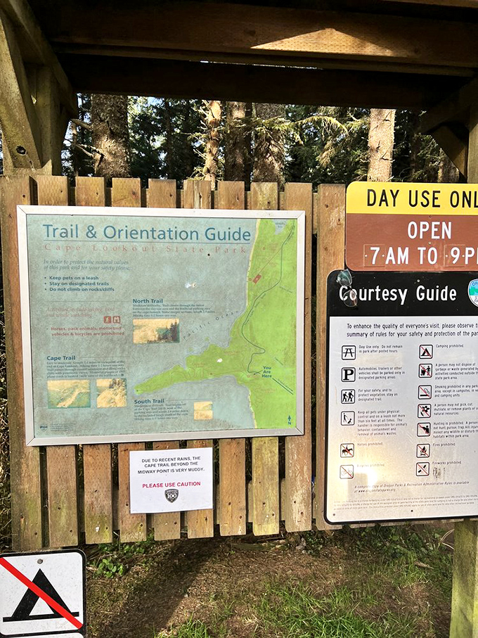 Nature's menu board offers three distinct trails. Like choosing between desserts, the hardest part is deciding which adventure to embark on first.