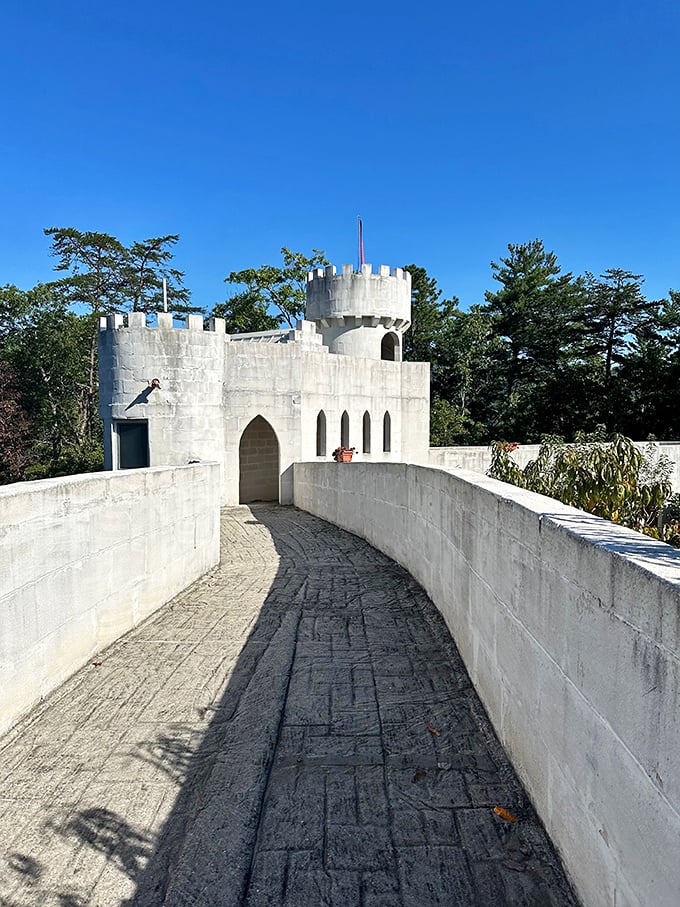Walking these castle ramparts feels like stepping into Game of Thrones&mdash;minus the dragons and political intrigue. The mountain views alone are worth the climb!