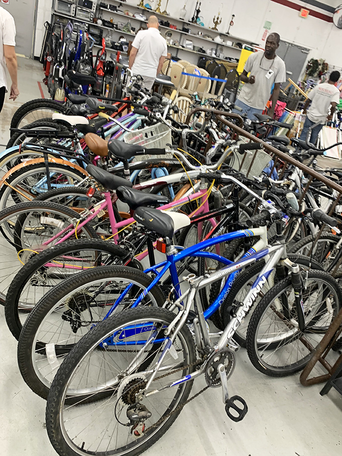 A fleet of bicycles awaits new adventures. From beach cruisers to mountain bikes, your next two-wheeled companion is hiding somewhere in this mechanical menagerie.