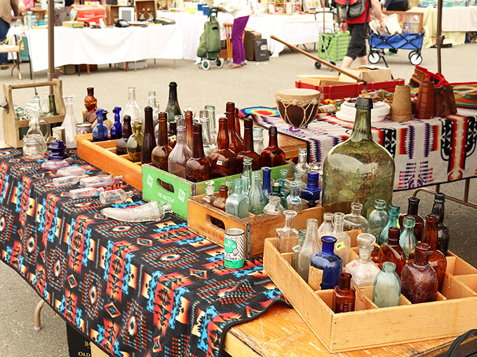 These aren't just bottles; they're liquid history in glass form, arranged like a colorful time capsule of bygone beverages and remedies.