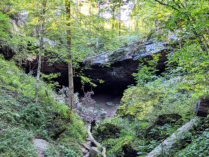 Mother Nature's secret hideaway beckons explorers. This cave opening looks like something from a fantasy novel&mdash;minus the dragons, probably.