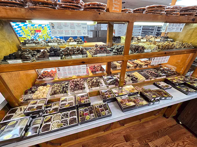 Treasure chests of cocoa delight! Each glass case reveals handcrafted chocolates arranged with the precision of a jeweler displaying precious gems.