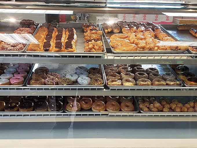 A museum of fried dough artistry. Each tray represents a different path to happiness, from classic glazed to decadent chocolate-dipped creations.