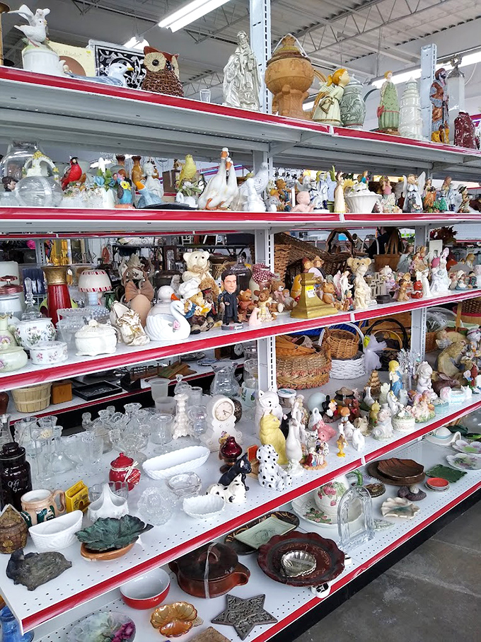 A porcelain menagerie stands at attention, each figurine silently hoping you'll give it the second chance it so desperately deserves.