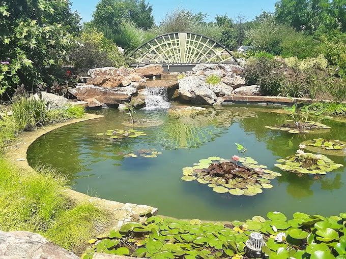 Water lilies float like nature's dinner plates while the fan-shaped trellis creates a perfect backdrop for contemplation&mdash;or your next holiday card photo.