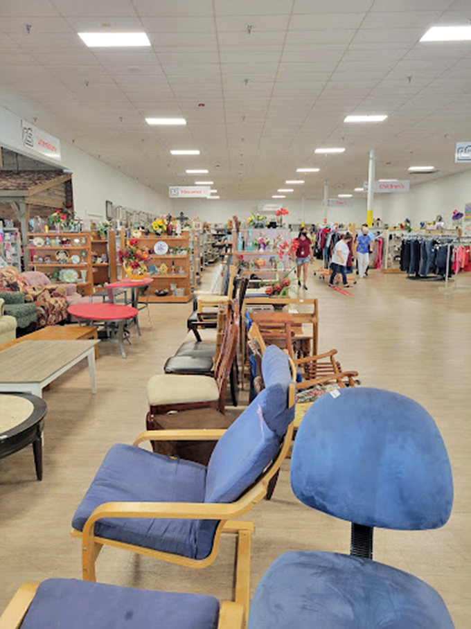 Blue chairs create a sea of seating possibilities while tables and furniture pieces patiently wait for their second act in someone's home story.