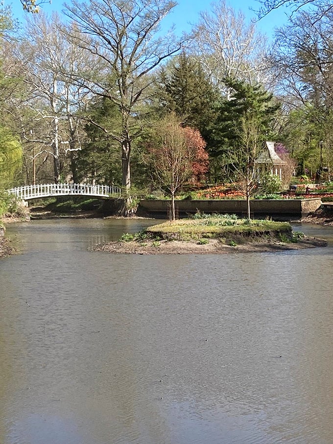That white bridge isn't just crossing water&mdash;it's spanning time, connecting visitors to a century of botanical history.