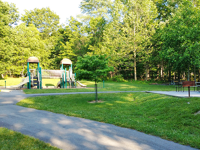 Childhood memories in the making&mdash;this playground isn't just equipment, it's the launching pad for imagination surrounded by nature's embrace.