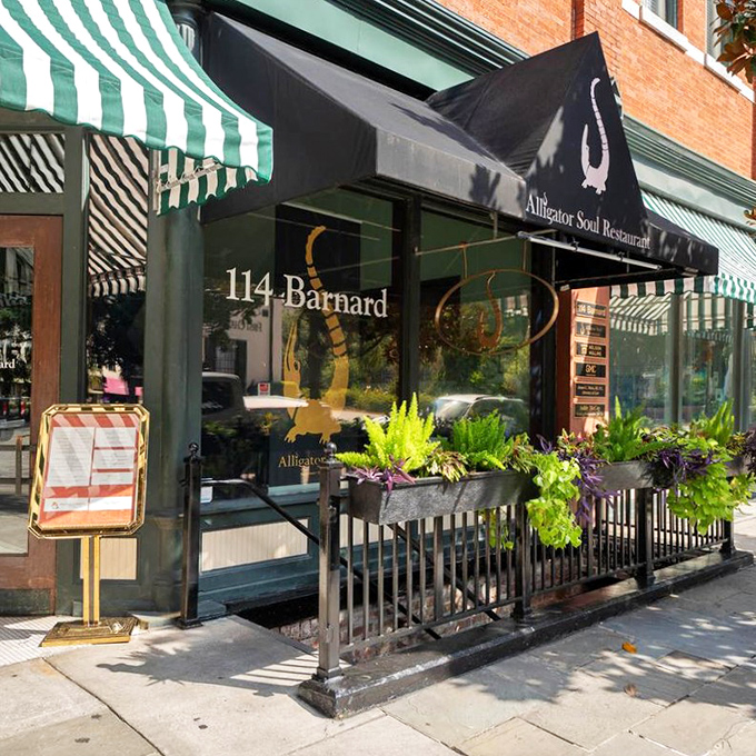 Alligator Soul Restaurant proves that behind every great Southern establishment is a clever name and an even better awning game.