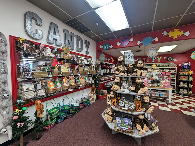 A candy wonderland where stuffed monkeys stand guard over treasures sweeter than any barrel of curiosities.