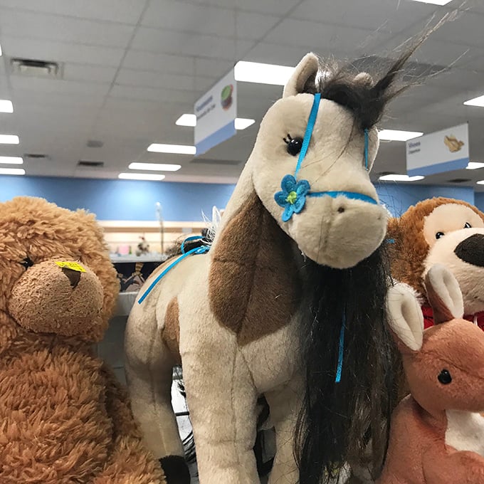 A plush menagerie awaits adoption, each stuffed animal silently promising to be the best listener in your home.