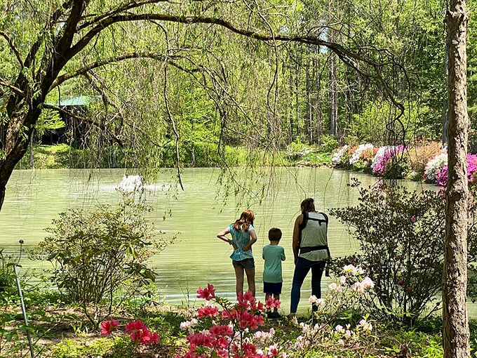 Family moments unfold along these shores, where three generations can share the simple joy of watching ripples spread across emerald waters.