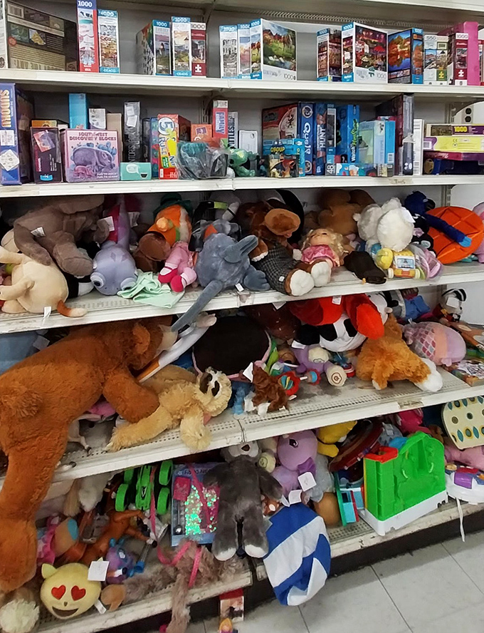 A plush menagerie awaits adoption, each stuffed animal silently promising to be the perfect companion for someone's next chapter.