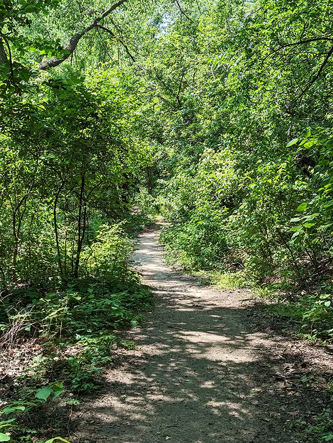 Follow this green tunnel into Kansas's version of Narnia. The dappled sunlight creates nature's own stained-glass effect worth every step.