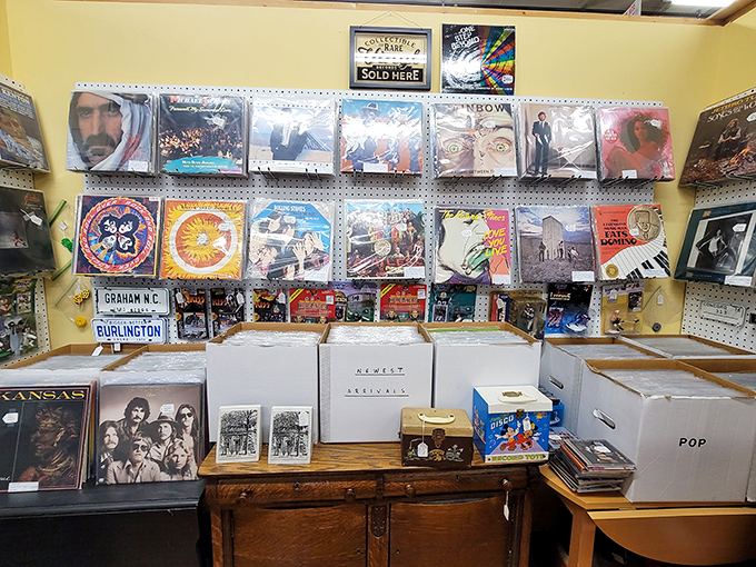 Vinyl heaven! From KISS to Kansas, these album walls aren't just music collections&mdash;they're time machines with soundtracks included.