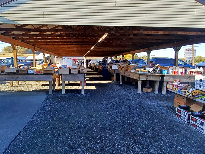 Jake's Flea Market: A treasure trove of toys and trinkets where shoppers of all ages discover forgotten gems.