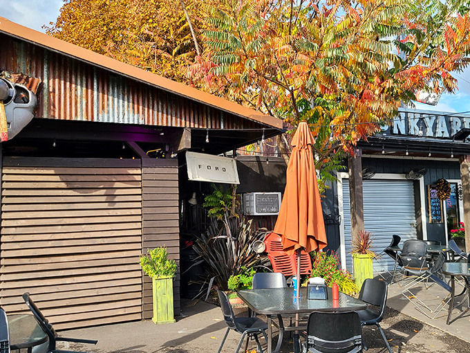 Junkyard Extreme: The rusted tractor and twinkling lights create the perfect "Mad Max meets Martha Stewart" ambiance for enjoying monstrously good brats.