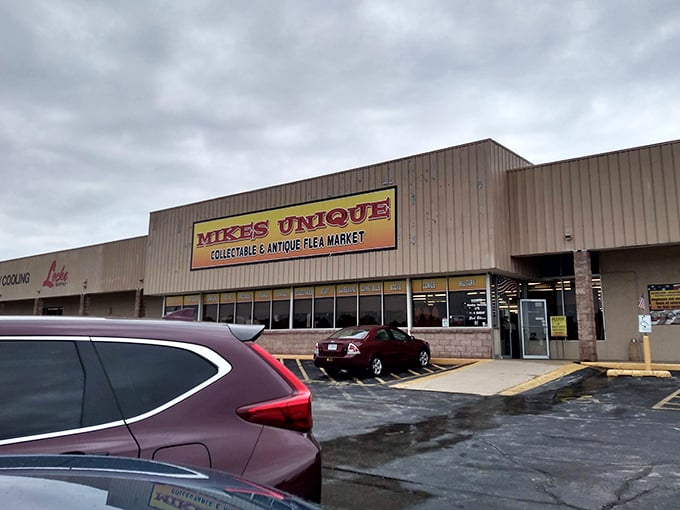 Mike wasn't kidding about the "unique" part! This treasure trove might just house that vintage oddity you've been searching for.