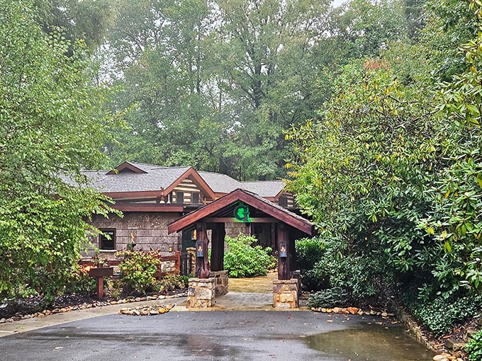 The Greenbrier's rustic cabin exterior hides seafood treasures that feel like the Smoky Mountains and the ocean had a delicious culinary love child.