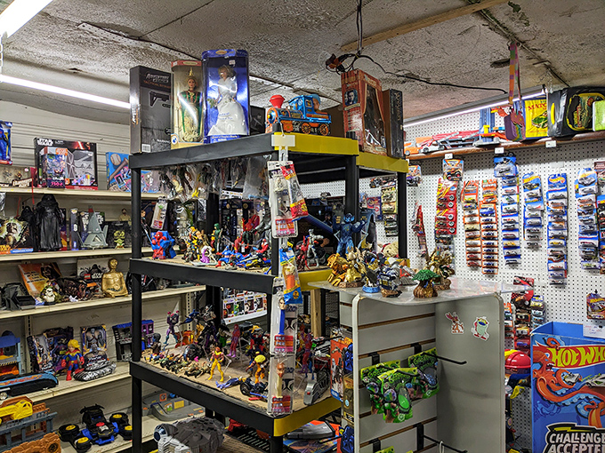 Action figures in their natural habitat! This toy paradise would make any collector's inner eight-year-old jump for joy.