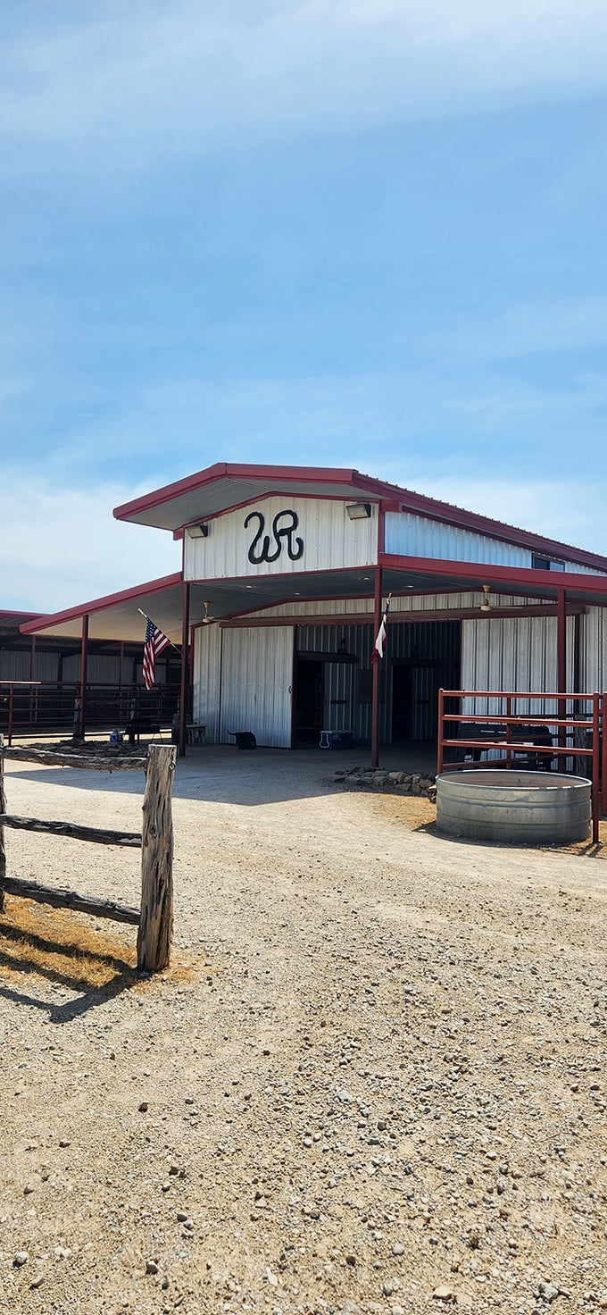 As dusk settles over Five D Cattle Company, the real magic begins. Like a beef-scented beacon in the night.