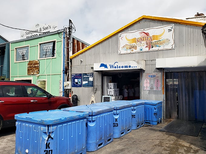 Those blue coolers aren't just for show &ndash; they're filled with today's catch, tomorrow's dinner, and memories that'll last all year.