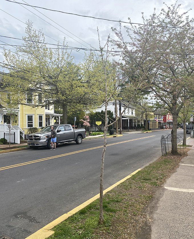 Country Fair Chocolates beckons from its vine-covered haven &ndash; calories don't count when they're this charming!