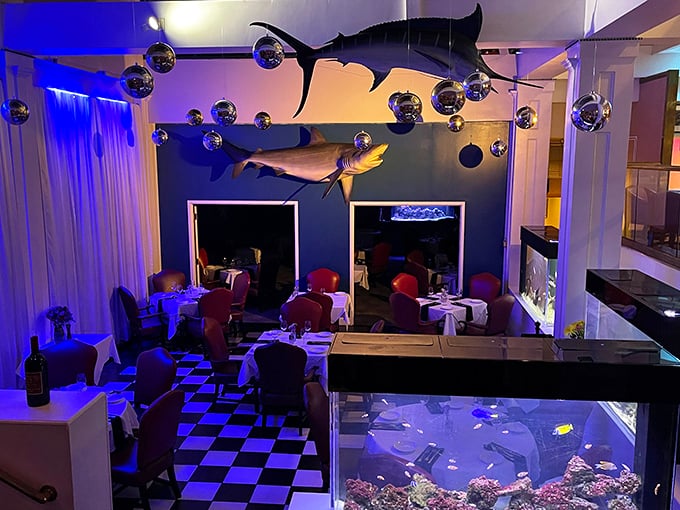 Those mounted fish aren't just decoration &ndash; they're previewing the fresh catches on tonight's menu.