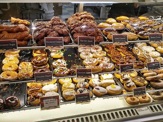 Donut display cases: where diets go to die and happiness is measured in inches of glaze, sprinkles, and cream filling.