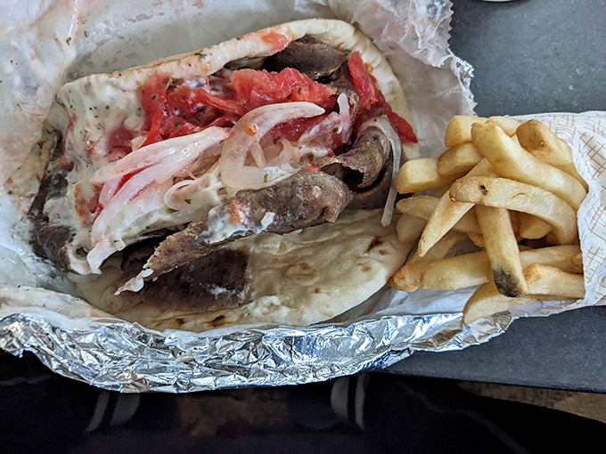 Behold the star of the show: a gyro so generously stuffed that eating it requires strategy, napkins, and absolutely zero shame.