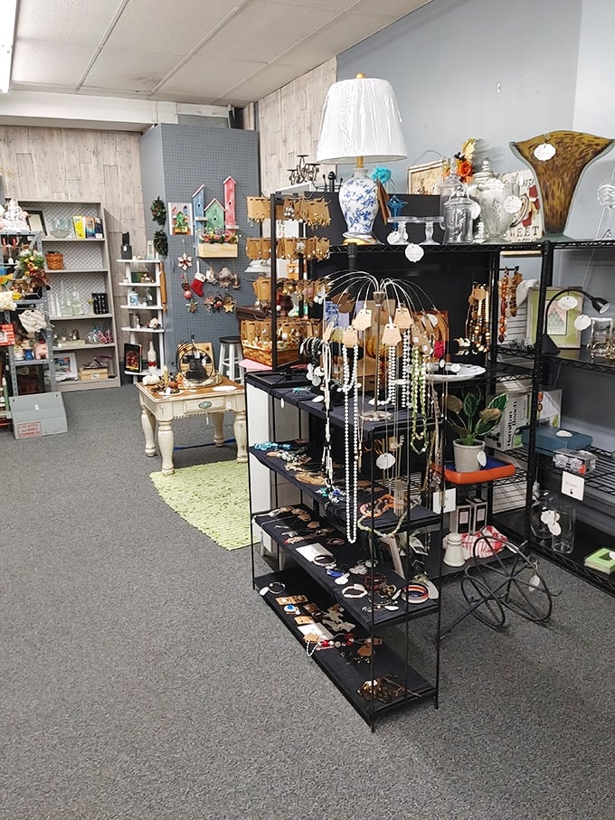 A jewelry lover's paradise where vintage necklaces and brooches create a glittering landscape of possibilities for your next statement piece.