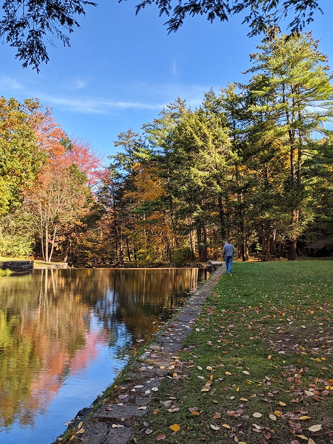 Fall foliage reflected in still waters creates nature's most perfect mirror. No Instagram filter could improve this autumn masterpiece.