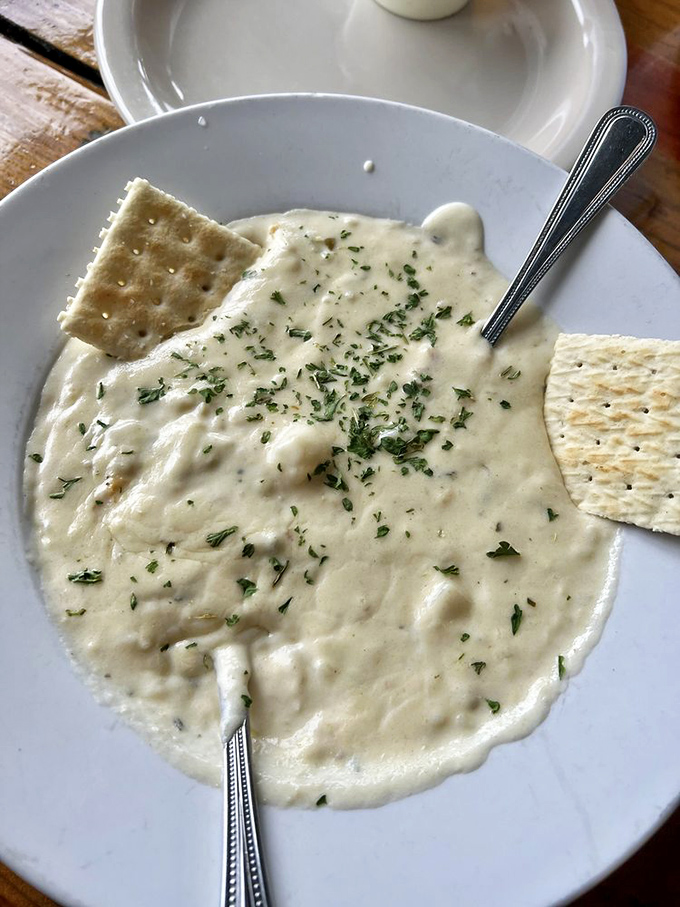 Creamy revelation in a simple white bowl. This clam chowder, flecked with herbs and studded with tender clams, might make you forget you're in Arkansas.