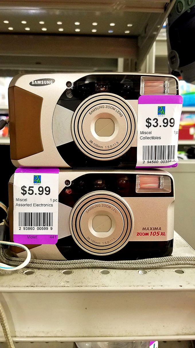 Vintage cameras await their second act. In an age of smartphone selfies, these mechanical marvels remind us that photography once required patience and skill.