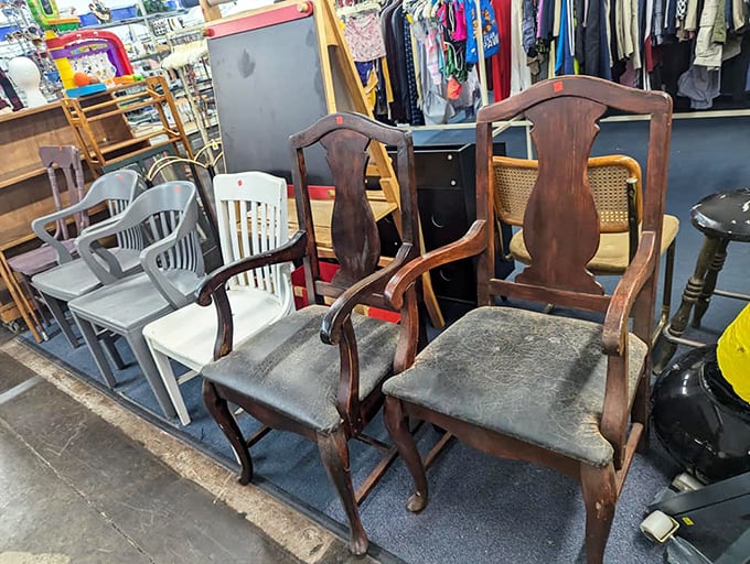 Take a seat and stay awhile! This chair collection could furnish the world's most eclectic living room.