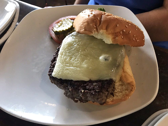 Behold: the perfect melty cheese blanket tucked over a burger that clearly didn't skip gym day. That pickle slice is just showing off.
