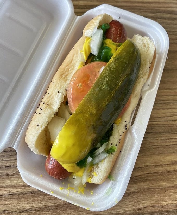 The Chicago-style hot dog in its natural habitat—a symphony of toppings playing perfectly in tune, no ketchup conductor needed.